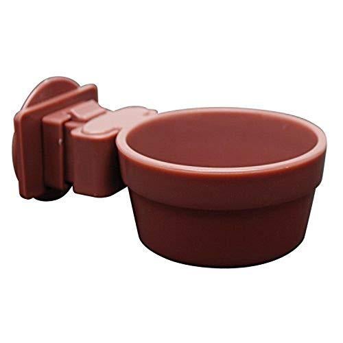 Living World Lock & Crock Dish | Wild Exotics